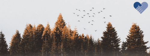 What Does Enabling Really Mean?