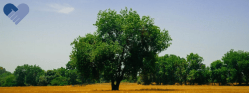 The CRAFT Model of Intervention for Addiction Treatment - Family First ...