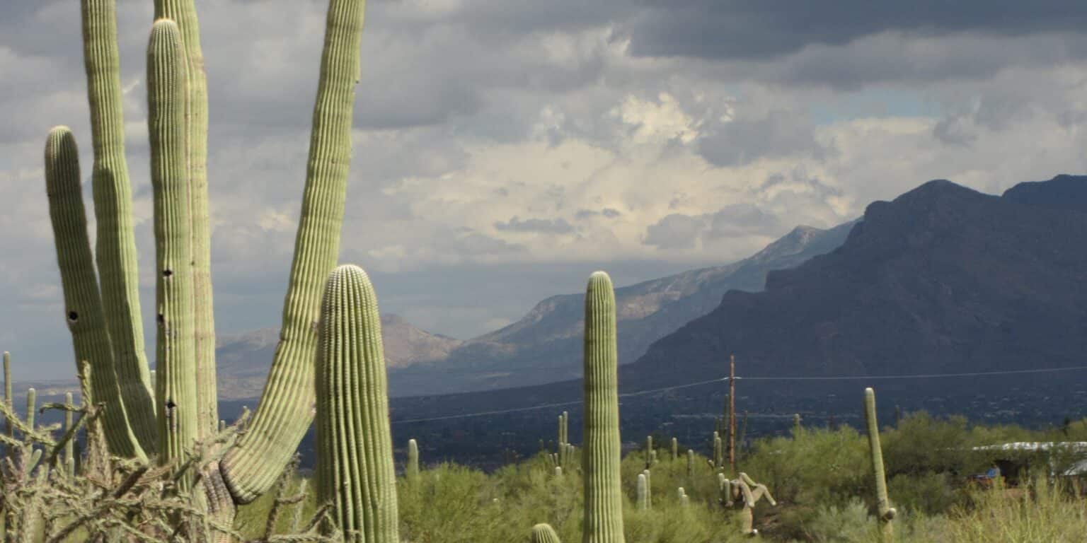 How to Write a Drug Intervention Letter | Planning Intervention