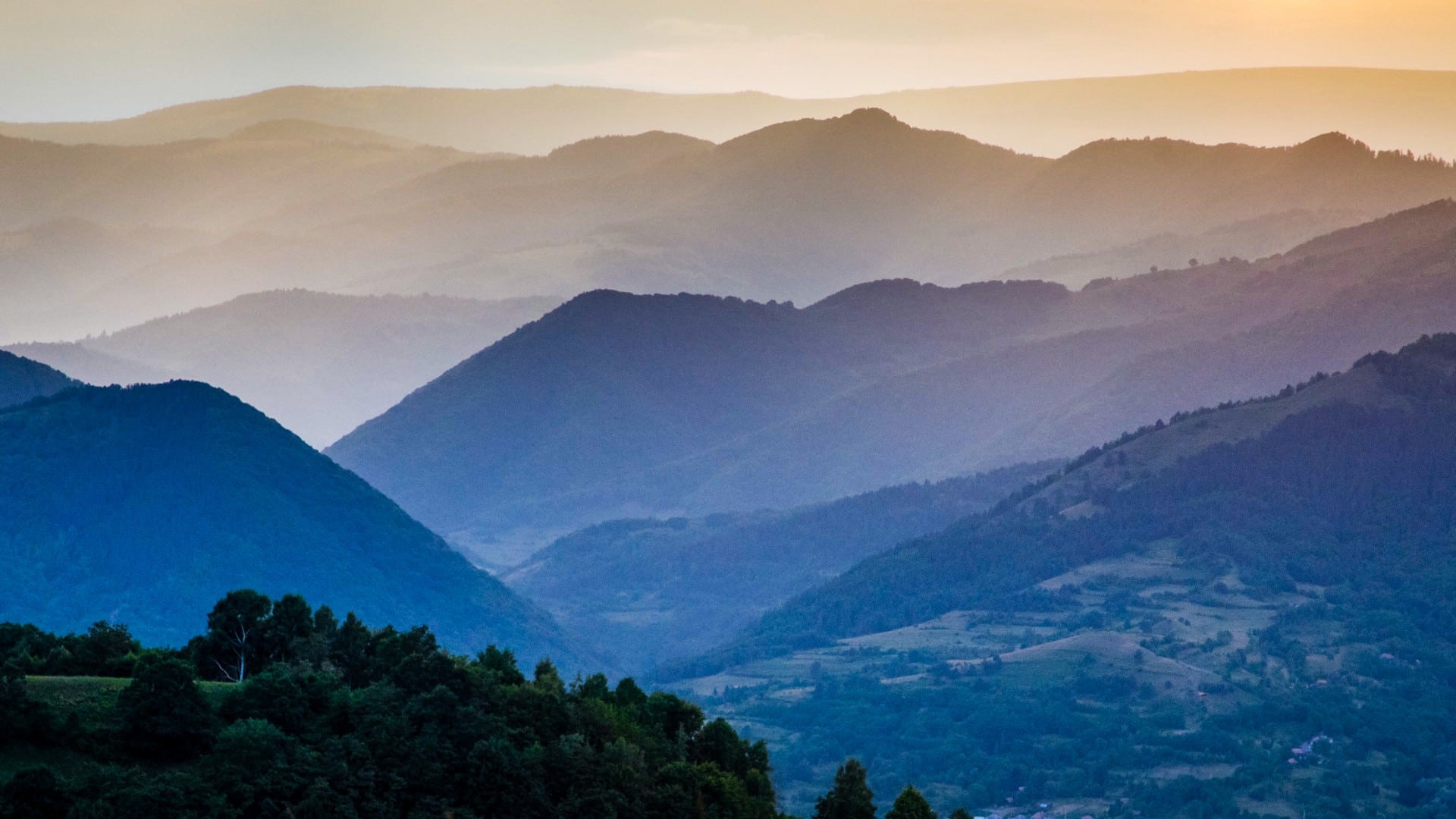 Codependency and Dependent Personality Disorder - Family First Intervention